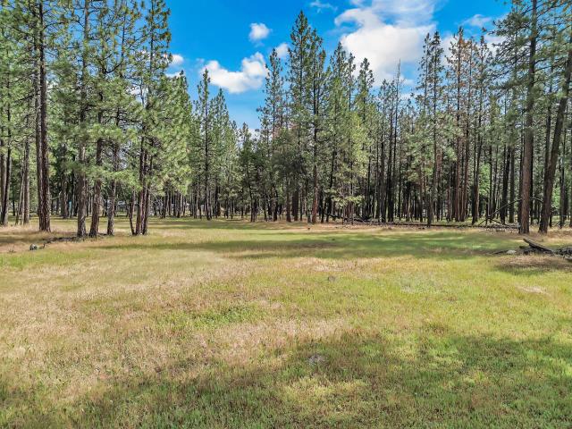 40596 Old School Rd, Fall River Mills, CA 96028 | MLS #26 2633