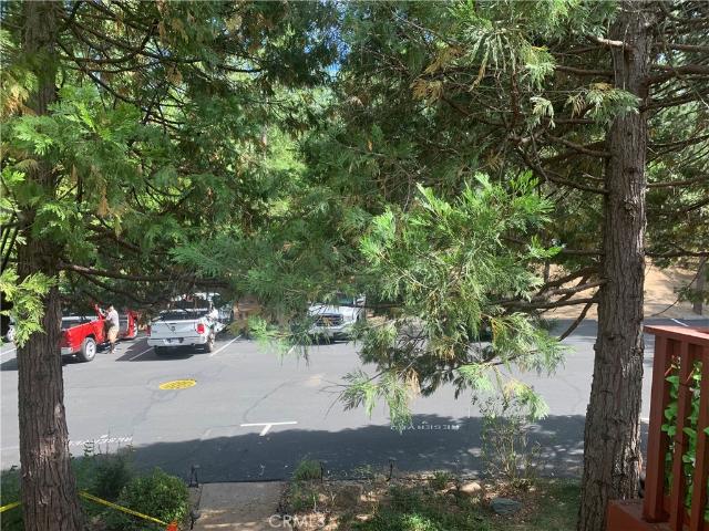 40513 Saddleback