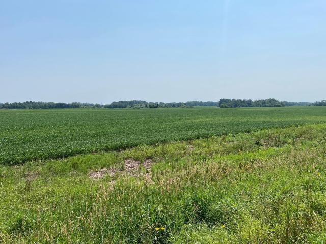 40525 Highway 65, Braham, MN 55006 | MLS #6768