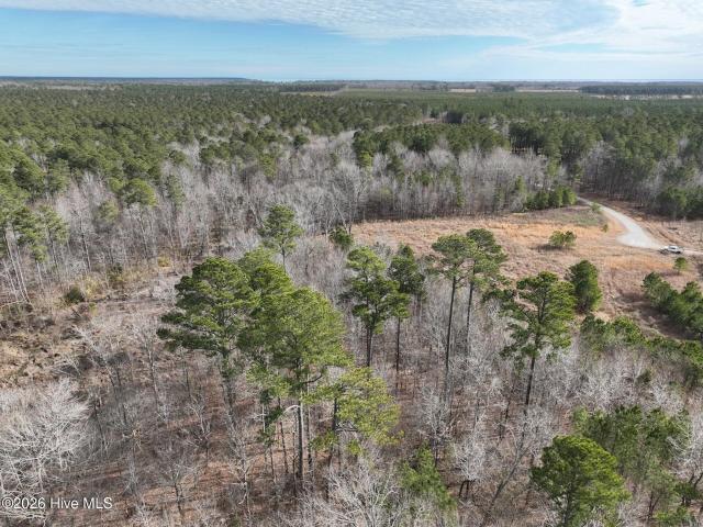 405 Batts Island Rd, Edenton, NC 27932 | MLS #100552