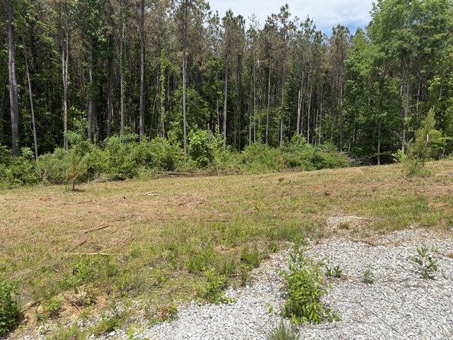 405 Bunch Lake Rd, Mantachie, MS 38855