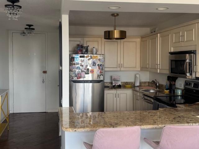405 N Wabash Avenue # 4101