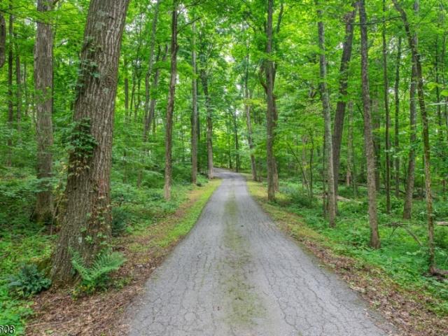 405 Springdale Greendell Rd