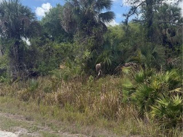 405 Thompson Ave, Lehigh Acres, FL 33972