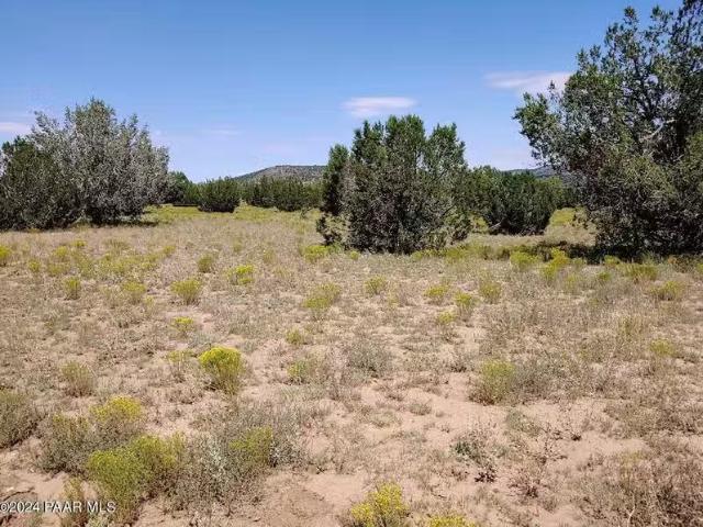 40670 W Scout Trail, Seligman, AZ 86337 MLS 1066983