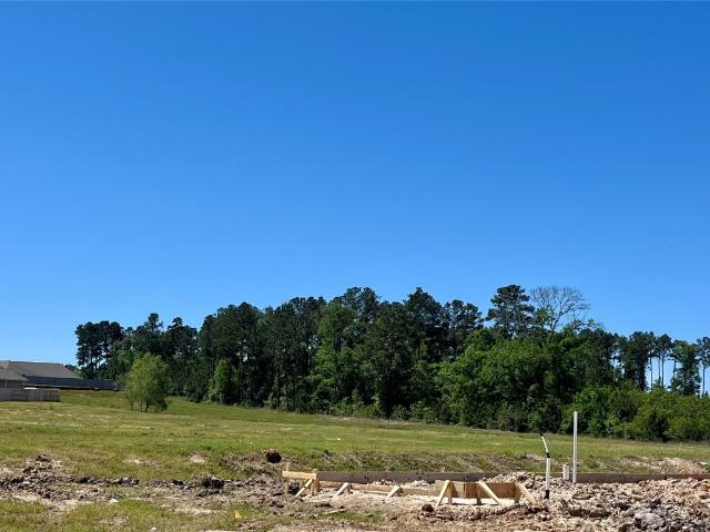 40688 Mostyn Lake Drive