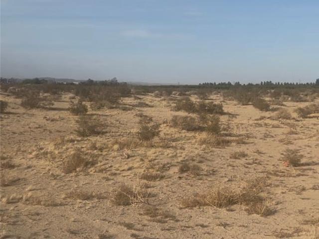 40626 Valley Ctr, Newberry Springs, CA 92365