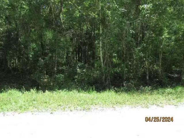 4062 Walnut Ave, Bunnell, FL 32110 MLS FC300235