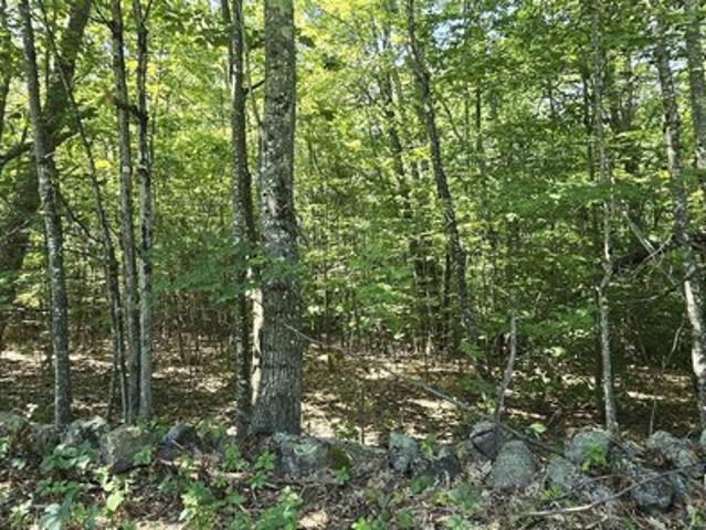 406 17 Guinea Ridge Rd, Gilmanton, NH 03237