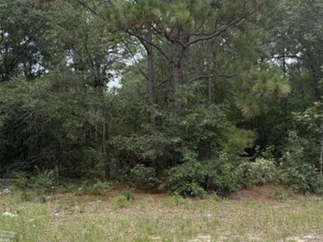 406 Douglas Dr, Beech Island, SC 29842