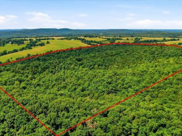 406 Horner Dr, Bradleyville, MO 65614