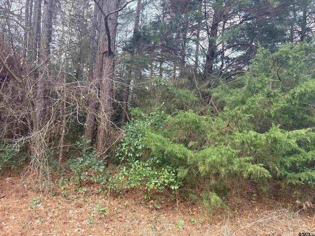 406 Janis Dr, Bullard, TX 75757