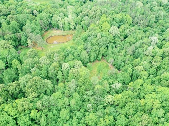 406 Lakewood Rd Unit TRACT2, Princeton, KY 42445