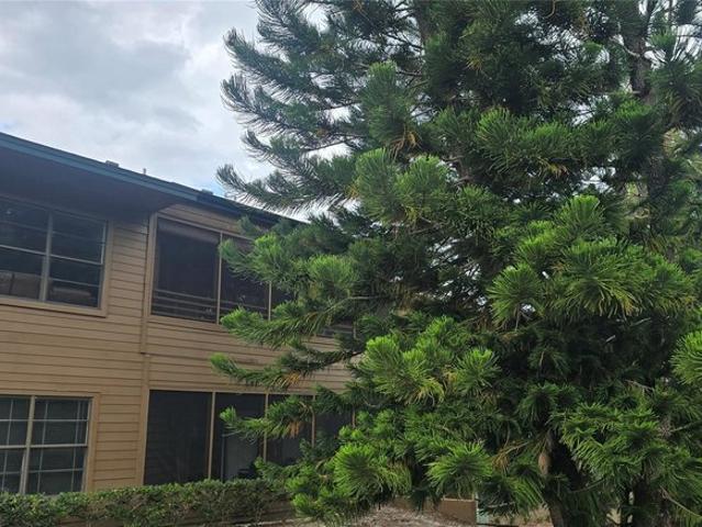 406 Lennox Rd W, Palm Harbor, FL 34683