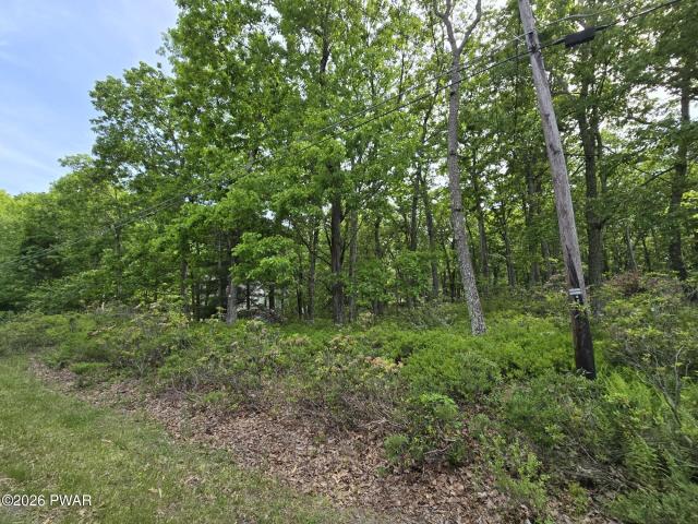 406 Maple Ridge Drive
