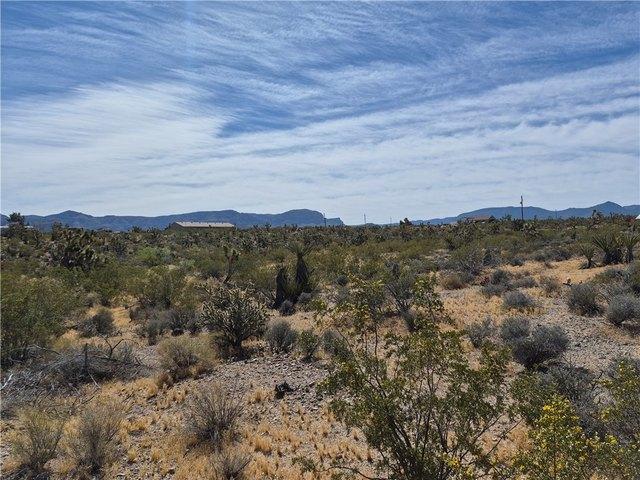 406 W Overton Dr, Meadview, AZ 86444