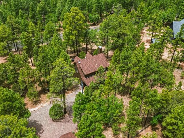 4075 horseshoe drive