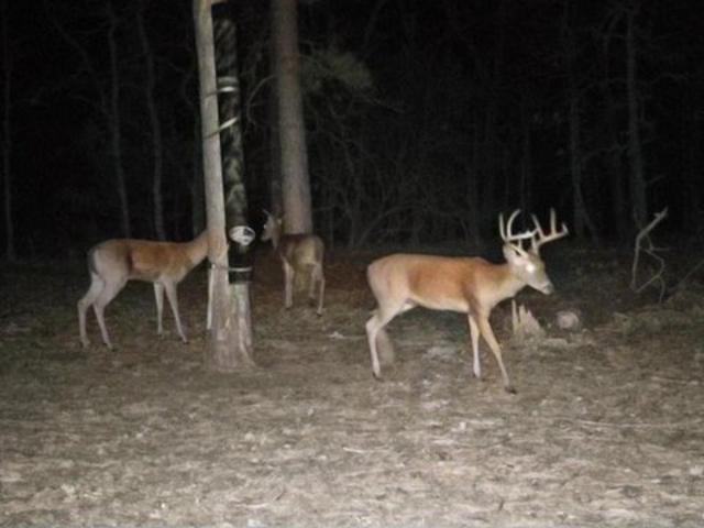 4079 S Farm to Market Rd, Hawkins, TX 75765