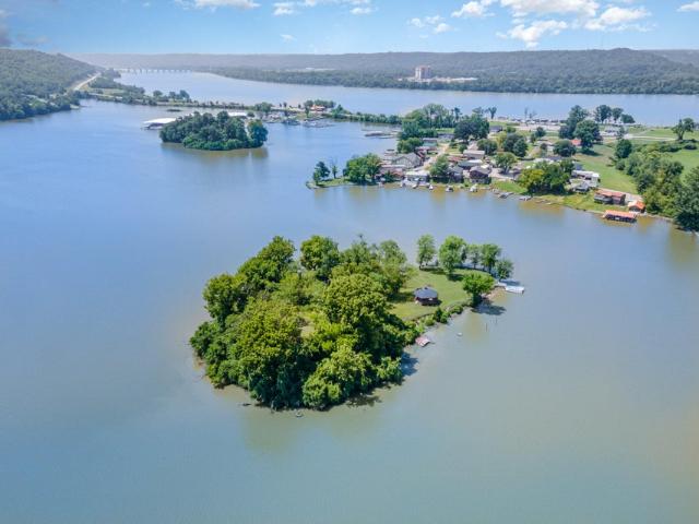 407 Carvers Trail