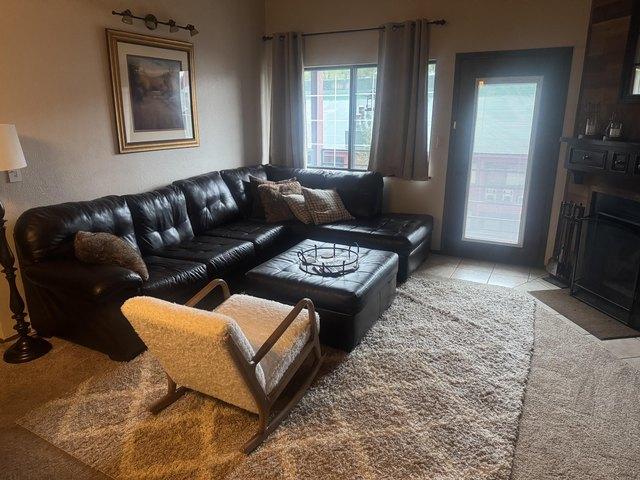 407 S Vasels Rd Unit 55, Brian Head, UT 84719
