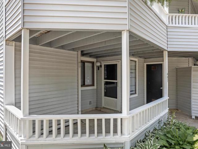 407 Shelby Court