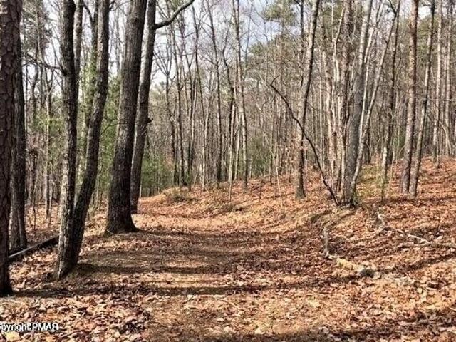 407 Pinetree Rd, Albrightsville, PA 18210