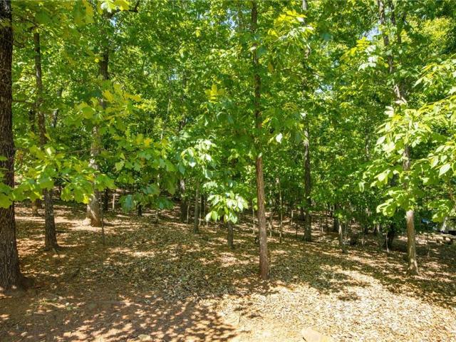 407 Ward Farm Dr, Powder Springs, GA 30127 | MLS #7785