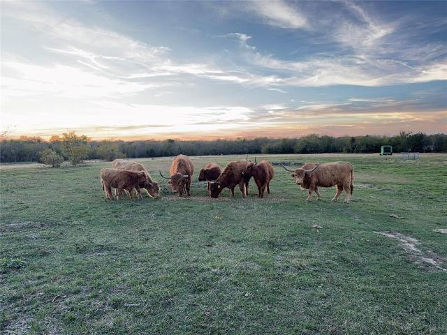 4081 Farm to Market Road 2736, Unit C, Campbell, TX 75422 | MLS #21223