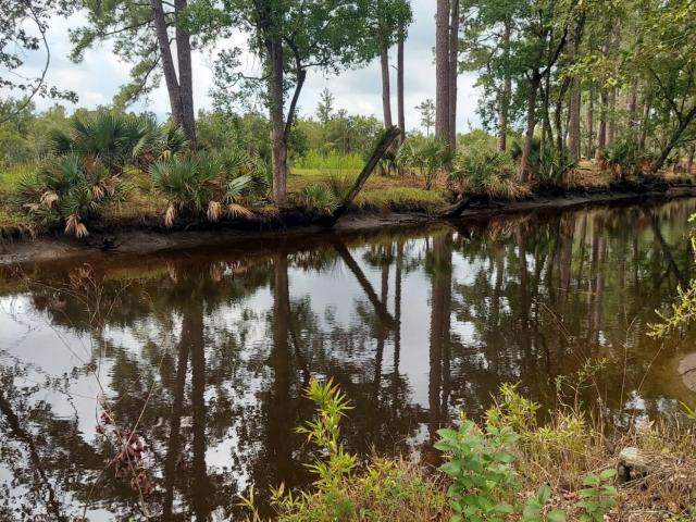 4083 Prices Bridge Lane