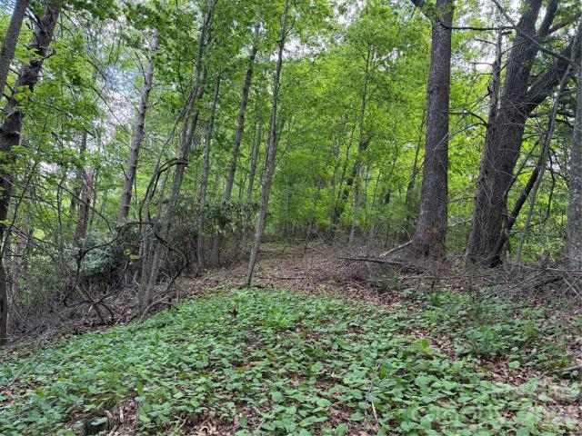 408 Arvil Gosnell Road