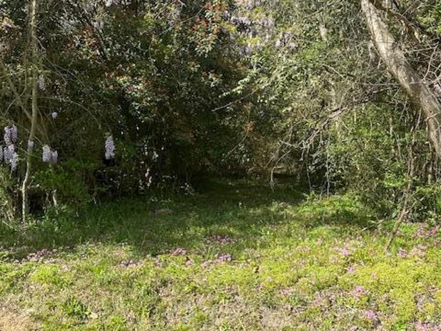 408 Mill Quarters Road # 2
