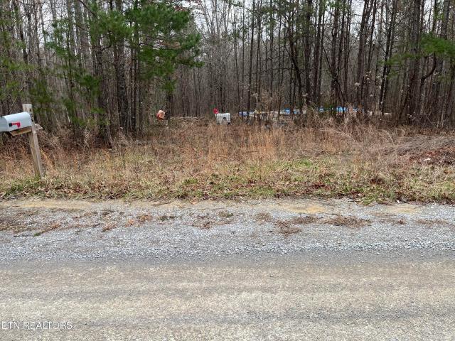 408 Veterans Lookout