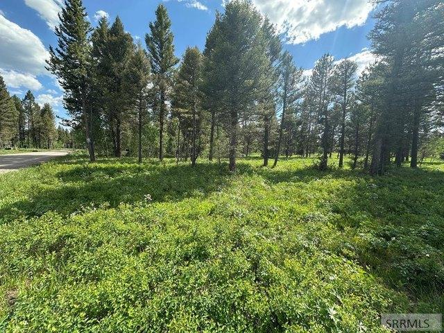 4095 Icehouse Creek Rd, Island Park, ID 83429