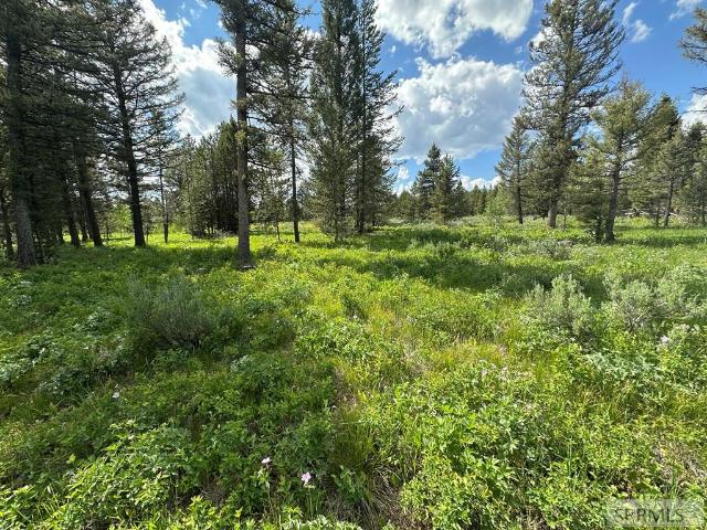 4095 Icehouse Crk Rd, Island Park, ID 83429 | MLS #2185