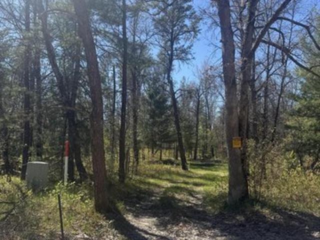 4097 S Michway Rd, Baldwin, MI 49304