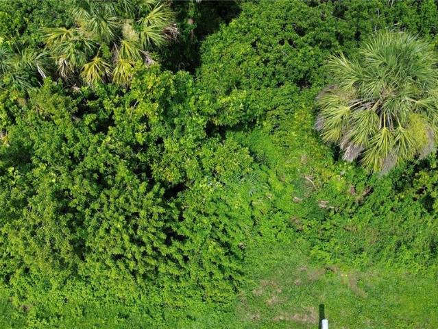 4099 Dotham St, Port Charlotte, FL 33948 | MLS #O6337