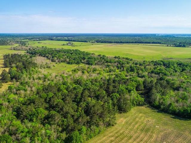 40902 Sh # 105, Batson, TX 77519