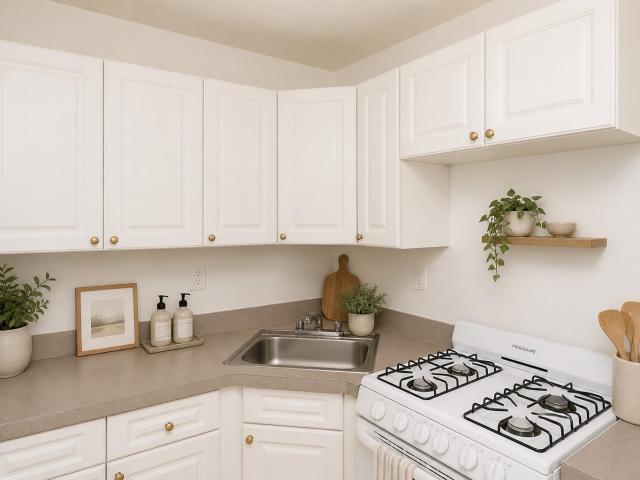 409 Bloomfield St # 4