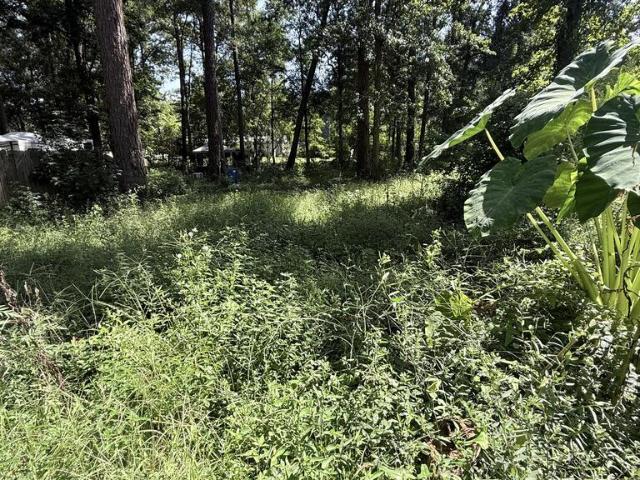 409 Dogwood Lane