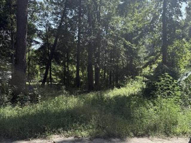 409 Dogwood Ln, Midway, GA 31320