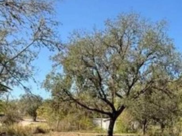 409 Harl St Lot 2, Pleasanton, TX 78064