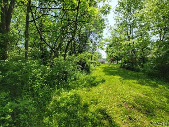 409 S D St, Louisiana, MO 63353 | MLS #25058