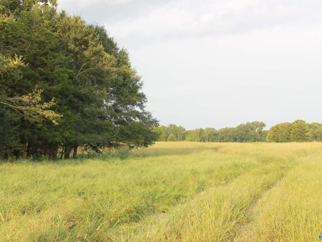 40.5 S Danville Rd, Danville, AL 35619