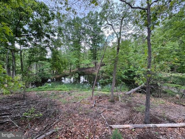 40.15 Ac Middle Ridge Road