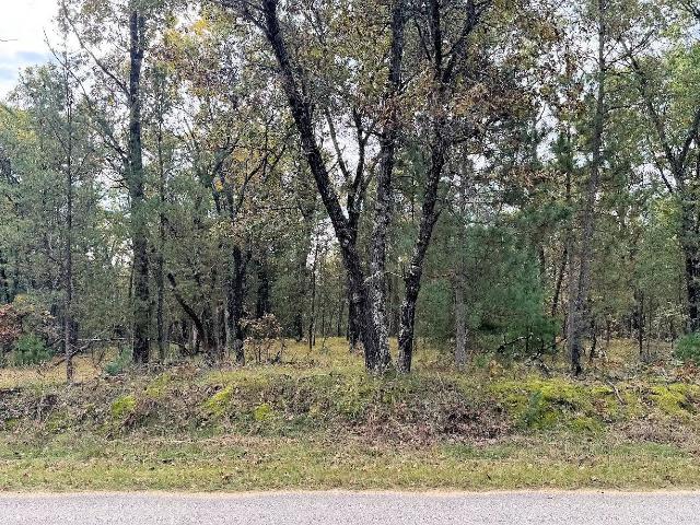 40.18 Acres Deerborn Avenue
