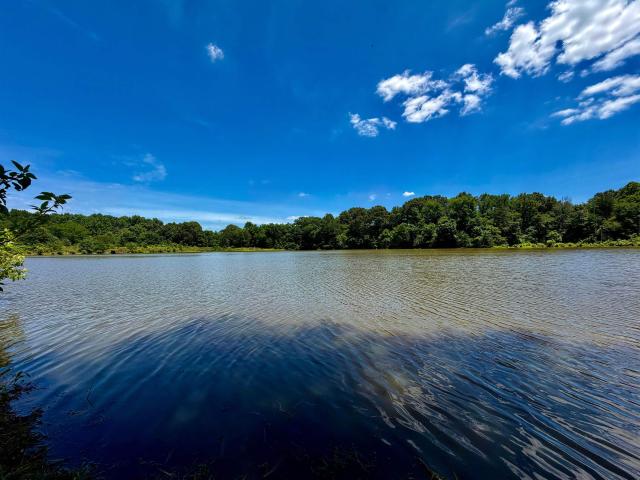 40.37 ac smyrna rd