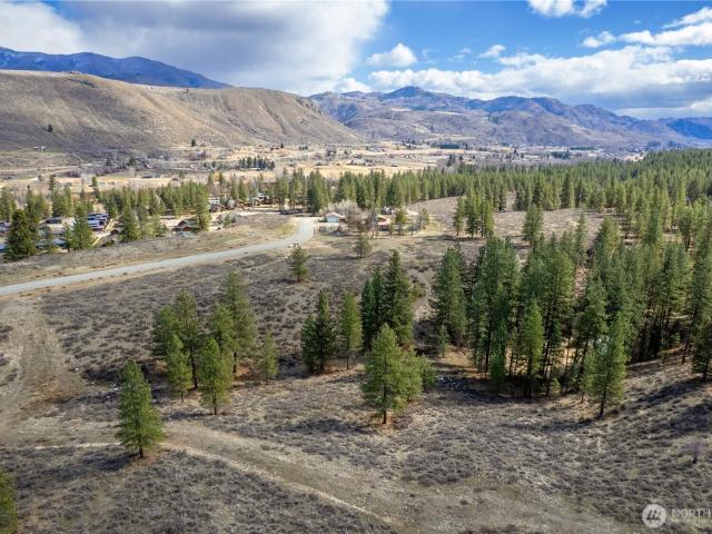 40 tbd Rabbit House Rd, Winthrop, WA 98862 | MLS #2492 | Compass