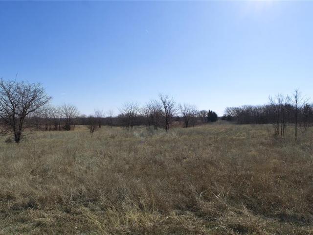 40 Willow Ct, St. Jo, TX 76265 | MLS #21178