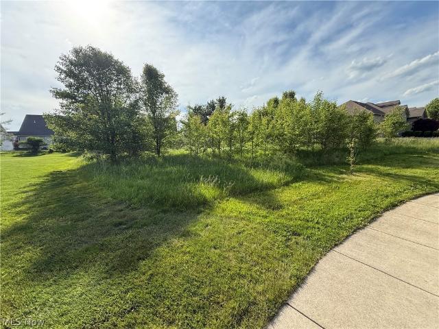 40 Woodland Run