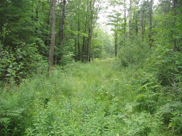 40 A ON State Highway 102, Ogema, WI 54459